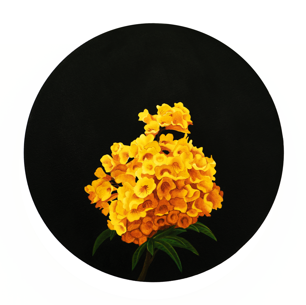 Príncipe de las flores. 1993 – NADÍN OSPINA
